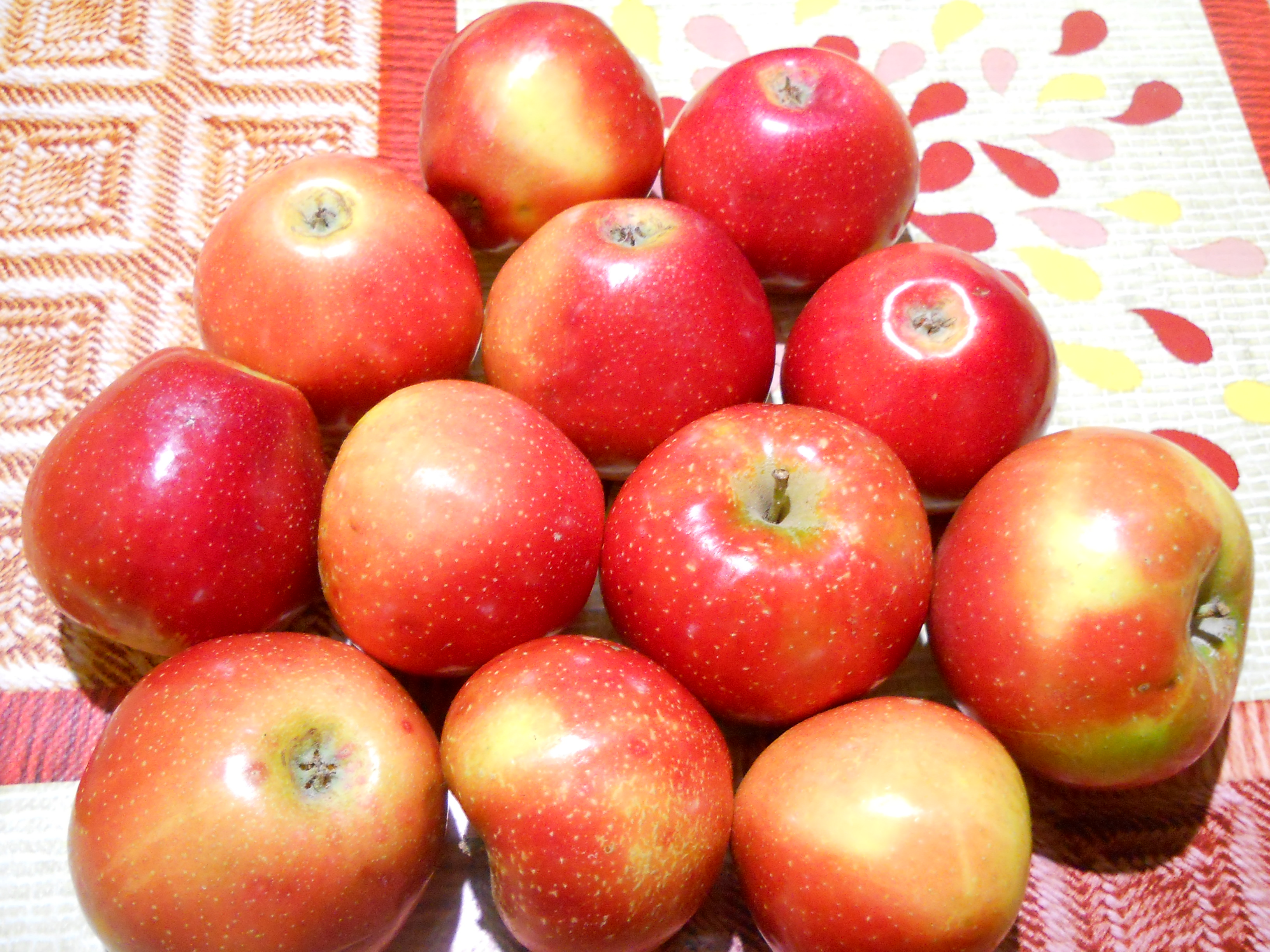 Alma (Balkonalma): Oszlopos piros alma - Növény enciklopédia